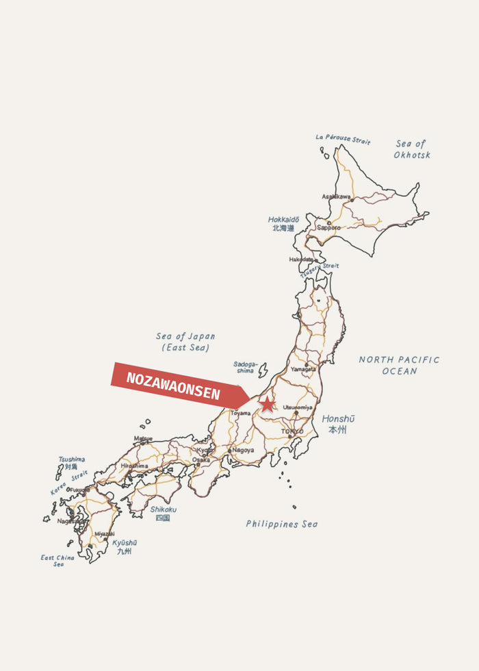 Corinne's Guide to Skiing Japan