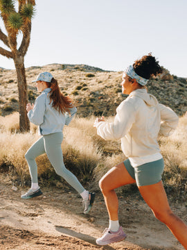 Bitterroot | Sun Tour