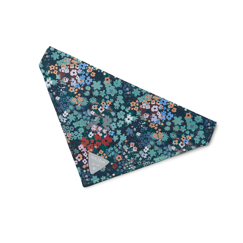 Bitterroot | Brim Hat