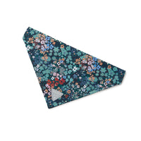 Bitterroot | Sun Tour